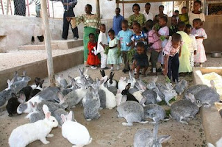 KARIBU NYUMBANI: UFUGAJI WA KUIGWA